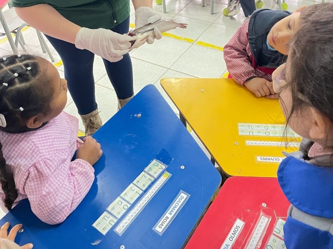 CONOCE LAS ENTRETENIDAS ACTIVIDADES QUE HAN REALIZADO KINDER Y ...