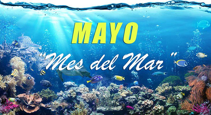 «MES DEL MAR» (PRE BÁSICA) – Colegio Entre Valles